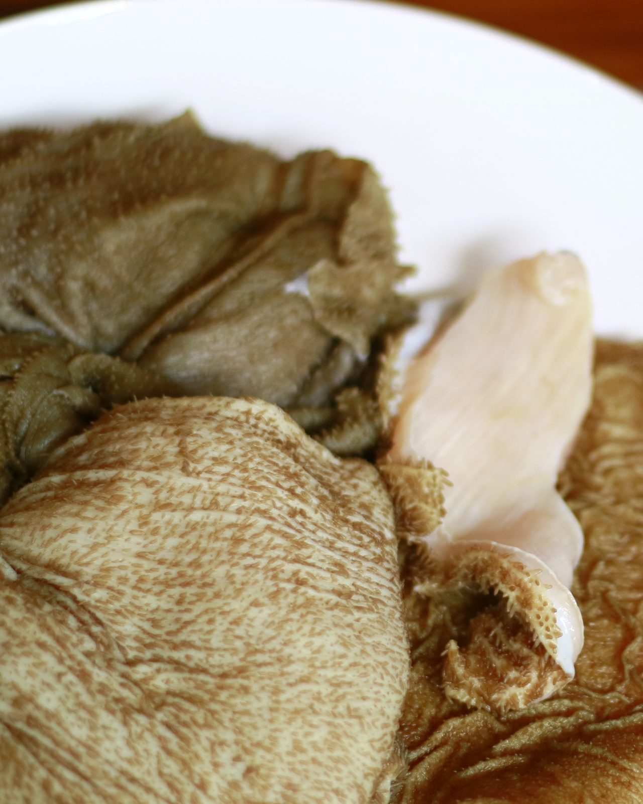 Beef | American Halal Meat